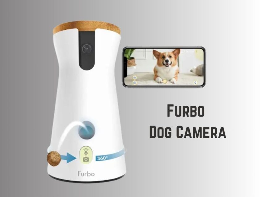 Furbo Dog Camera – ALLTECH Competitions